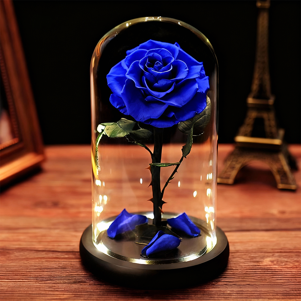 Forever Rose in Glass Dome with LED Lights - Luxury Gifts for Her ...